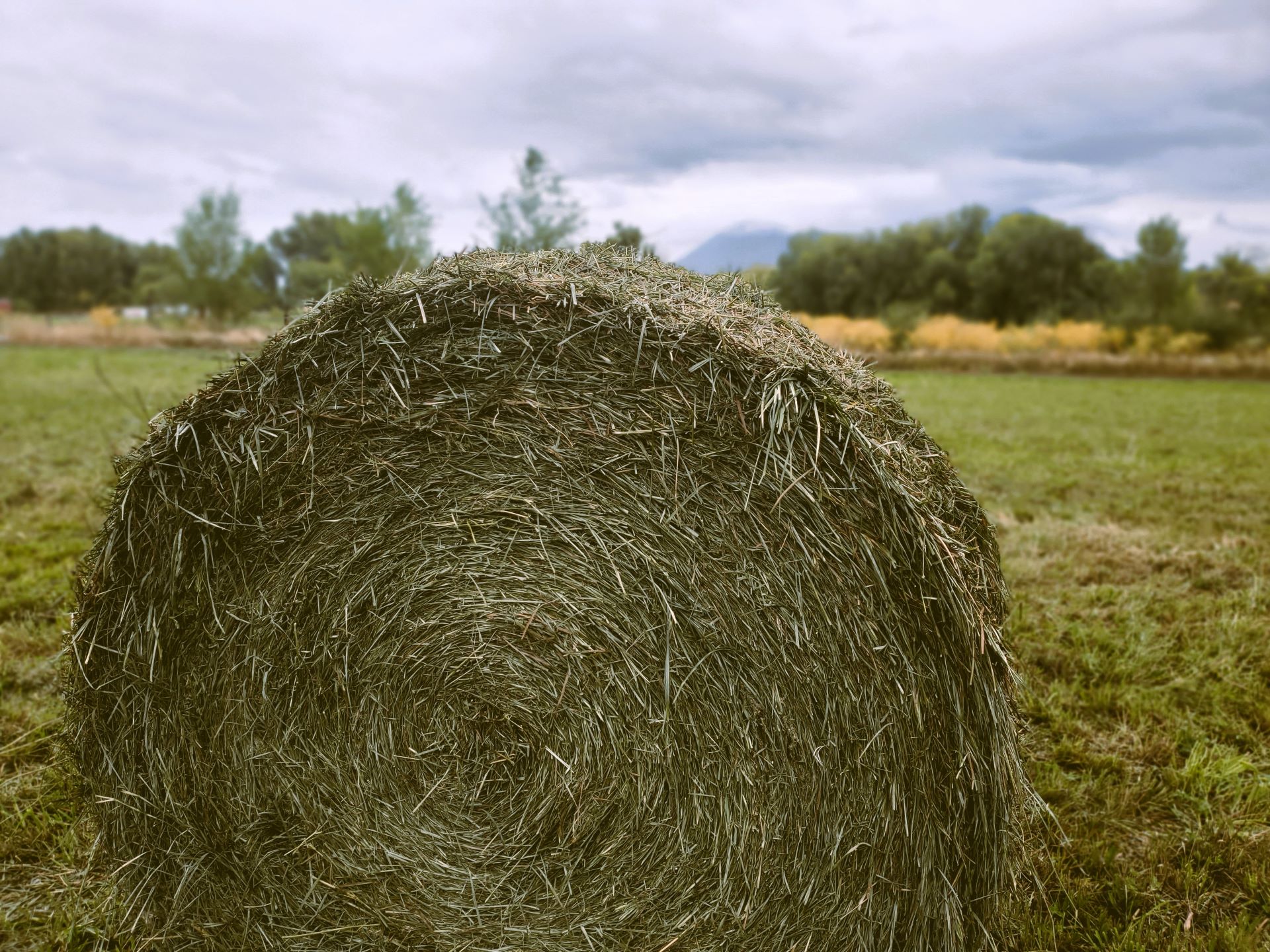 Conservation & Affordable Housing - Fertile Edge Community Land Trust